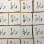 Editioning Prints – Handprinted